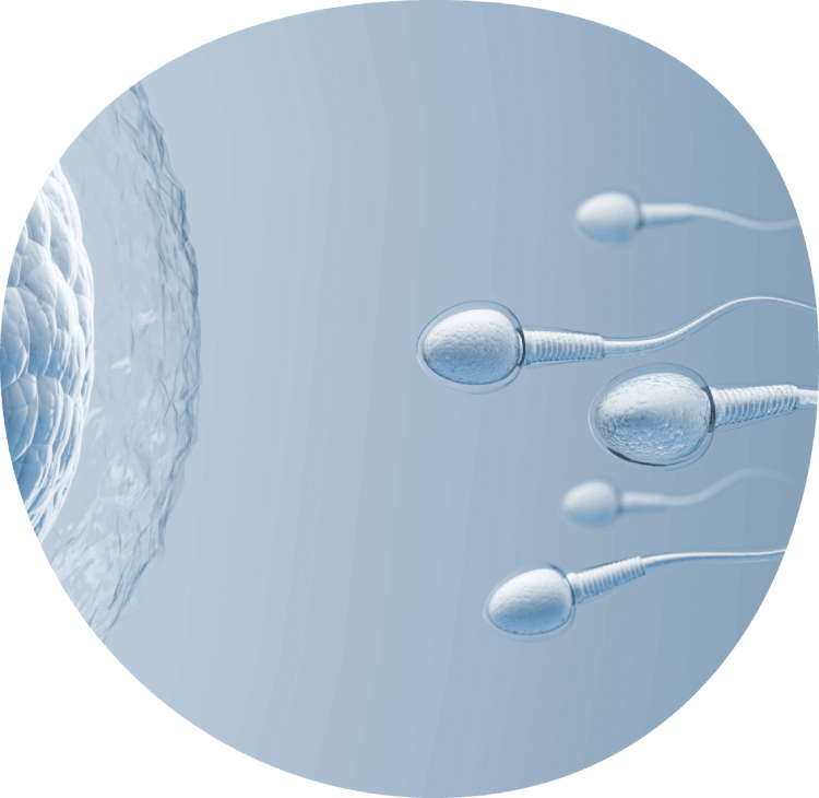 Why intrauterine insemination (IUI) is done and what to expect